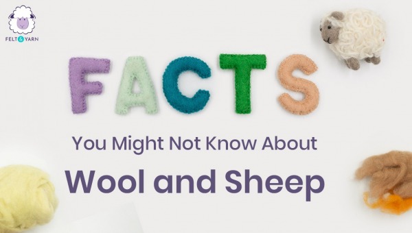 Facts you might not know about wool and sheep - Felt and Yarn